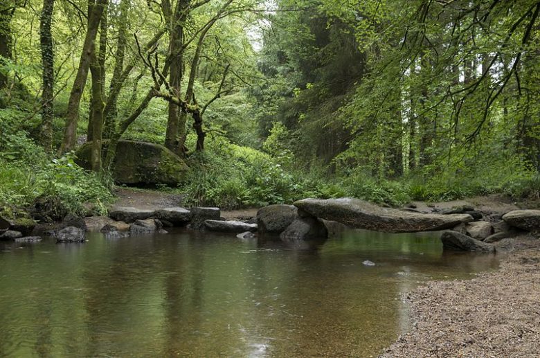 The 15 Most Beautiful Forests in Europe - TheBiteTour.com