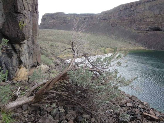 Blue Lake Rhino Cave, Coulee City - TheBiteTour.com