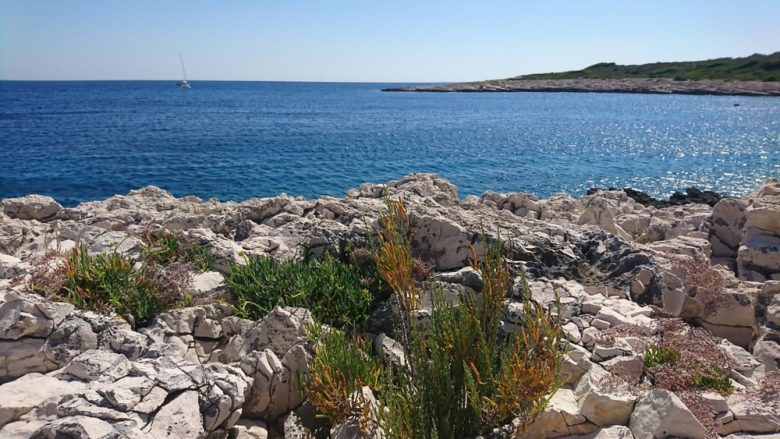 Jerolim Island - TheBiteTour.com