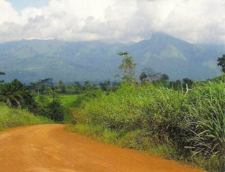 Mount Nimba Strict Nature Reserve - TheBiteTour.com