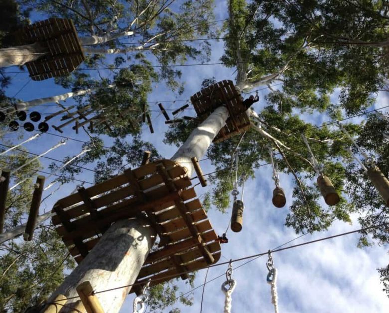 Treetops Adventure Nowra - TheBiteTour.com